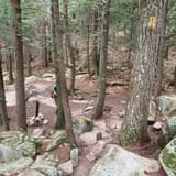 Boulder Loop Trail, New Hampshire - 2,134 Reviews, Map | AllTrails