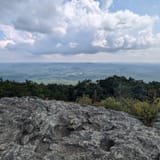 Buffalo Mountain Trail, Virginia - 766 Reviews, Map | AllTrails