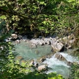 Boulder River Trail, Washington - 1,963 Reviews, Map | AllTrails