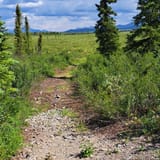 Stampede Trail to Sushana River, Alaska - 19 Reviews, Map | AllTrails