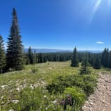 Thomas Lakes Trail, Colorado - 1,592 Reviews, Map | AllTrails