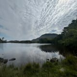 Arthog Waterfalls Circular, Gwynedd, Wales - 23 Reviews, Map | AllTrails