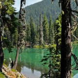 Devils Lake Trail, Oregon - 210 Reviews, Map | AllTrails