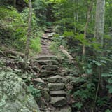 Fallingwater Cascades Trail, Virginia - 800 Reviews, Map | AllTrails