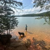Lake Blue Ridge Loop , Georgia - 900 Reviews, Map | AllTrails