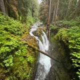 Sol Duc Falls Trail, Washington - 5,657 Reviews, Map | AllTrails