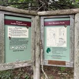 Dorr Mountain Ladder Trail, Maine - 1,196 Reviews, Map | AllTrails