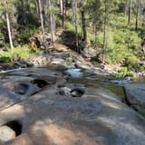 Carlon Falls Trail, California - 1,322 Reviews, Map | AllTrails