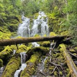 Proxy Falls Loop, Oregon - 1,292 Reviews, Map | AllTrails