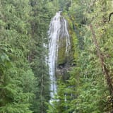 Proxy Falls Loop, Oregon - 1,261 Reviews, Map | AllTrails