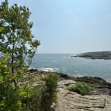 Marginal Way, Maine - 1,645 Reviews, Map | AllTrails