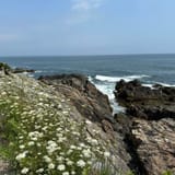 Marginal Way, Maine - 1,645 Reviews, Map | AllTrails