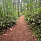 LBA Park Loop Trail, Washington - 1,256 Reviews, Map | AllTrails