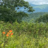 Siler Bald via Appalachian Trail, North Carolina - 823 Reviews, Map ...