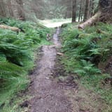 Am Meall (Glencoe Mast Viewpoint), Highlands, Scotland - 129 Reviews ...