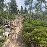 Opal Ridge, Alberta, Canada - 1,543 Reviews, Map | AllTrails