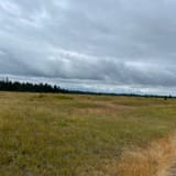 Mima Mounds Trail, Washington - 468 Reviews, Map | AllTrails