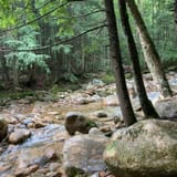 Sabbaday Falls , New Hampshire - 1,604 Reviews, Map | AllTrails