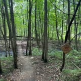 Luton Park Trail, Michigan - 1,158 Reviews, Map | AllTrails