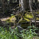 Barr Camp via Barr Trail, Colorado - 1,427 Reviews, Map | AllTrails