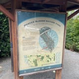 Mercer Slough Nature Park, Washington - 1,047 Reviews, Map | AllTrails