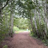 Mercer Slough Nature Park, Washington - 1,047 Reviews, Map | AllTrails