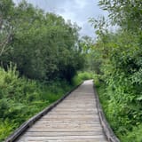Mercer Slough Nature Park, Washington - 1,047 Reviews, Map | AllTrails