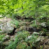 Lewis Spring Falls Trail, Virginia - 1,527 Reviews, Map | AllTrails