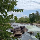 Ferncliff Trail, Pennsylvania - 1,599 Reviews, Map | AllTrails