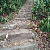 Ferncliff Trail, Pennsylvania - 1,599 Reviews, Map | AllTrails