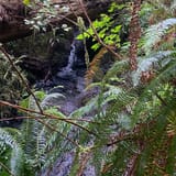 Cook's Ridge and Gwynn Creek Loop, Oregon - 840 Reviews, Map | AllTrails