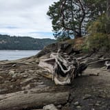 Cable Bay Trail, British Columbia, Canada - 1,168 Reviews, Map | AllTrails