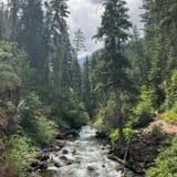 Chief Joseph Mountain Trail, Oregon - 443 Reviews, Map | AllTrails
