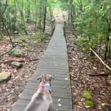 Blue Job Mountain Loop, New Hampshire - 2,330 Reviews, Map | AllTrails