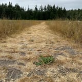 Robin Hill Park, Washington - 347 Reviews, Map | AllTrails