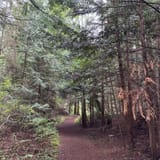 Robin Hill Park, Washington - 347 Reviews, Map | AllTrails