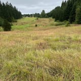 Robin Hill Park, Washington - 347 Reviews, Map | AllTrails