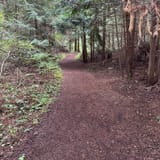 Robin Hill Park, Washington - 310 Reviews, Map | AllTrails