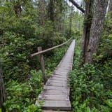 Sand Point Trail, Washington - 320 Reviews, Map | AllTrails