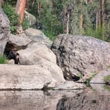 Spence Hot Springs Trail, New Mexico - 479 Reviews, Map | AllTrails