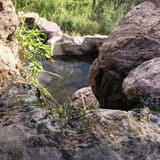 Spence Hot Springs Trail, New Mexico - 454 Reviews, Map | AllTrails