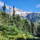 McNeil Point Trail, Oregon - 2,968 Reviews, Map | AllTrails