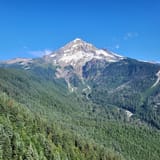 McNeil Point Trail, Oregon - 2,968 Reviews, Map | AllTrails