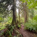 Beaver Falls, Washington - 283 Reviews, Map | AllTrails