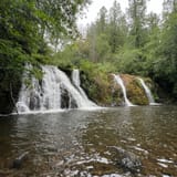Beaver Falls, Washington - 283 Reviews, Map | AllTrails