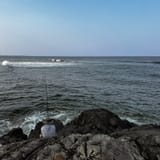 Marginal Way, Maine - 1,717 Reviews, Map | AllTrails