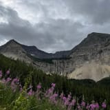 Crypt Lake Trail, Alberta, Canada - 2,747 Reviews, Map | AllTrails
