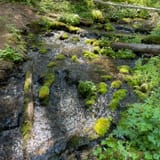 Manastash Lake Trail, Washington - 276 Reviews, Map | AllTrails