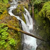 Sol Duc Falls Trail, Washington - 5,657 Reviews, Map | AllTrails