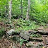 Busby Trail, Spruce Hill Lost Pond and Blackburnian Loop, Massachusetts ...